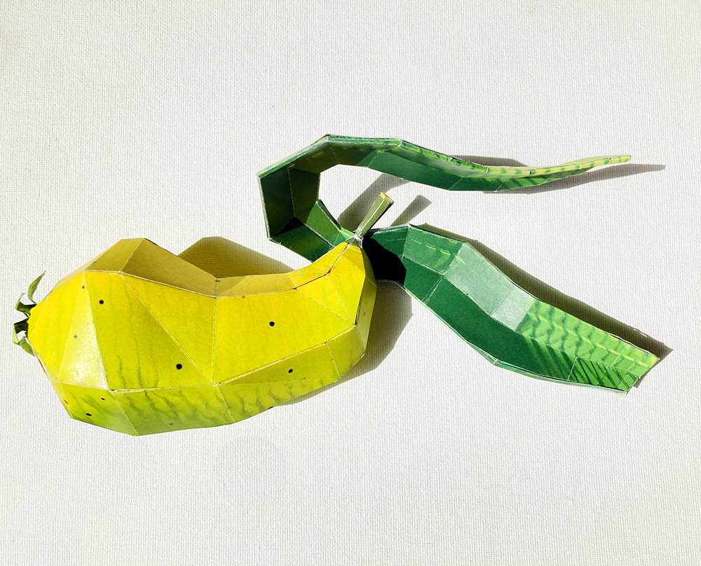 Fruit – Jacob Kasar